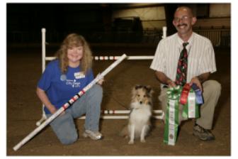 Home | City Dogs Agility School